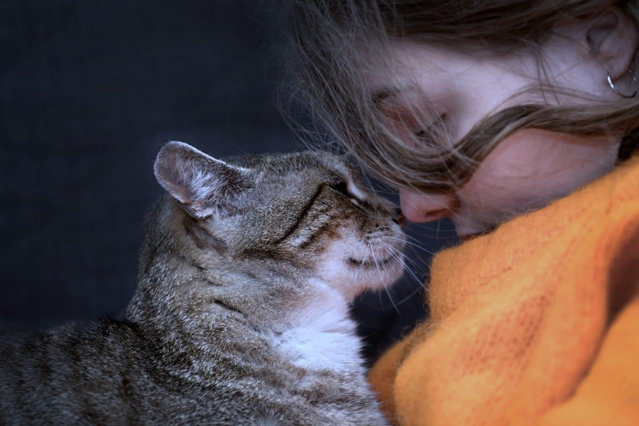 Veterinary Animal Hospice in Nashville TN - End of Life Pet Care
